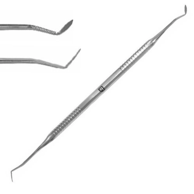 Esculpidor Hollemback - Quinelato - dentalecia