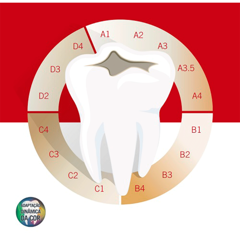 Resina Charisma Diamond One - Kulzer - dentalecia